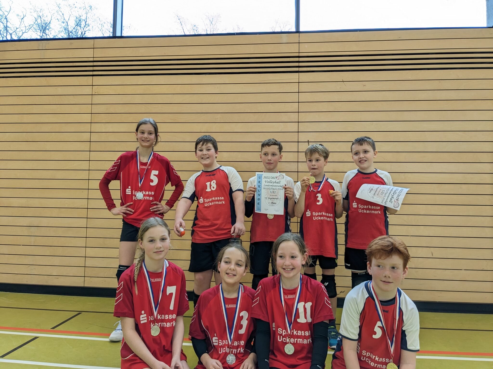 Mädchen & Jungen – Volleyball Club Angermünde e.V.